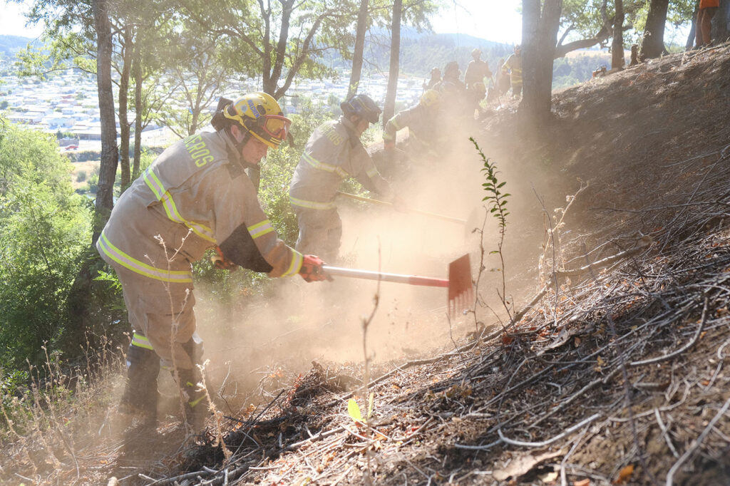Even more combat ready: 700 firefighters from five regions recently ...