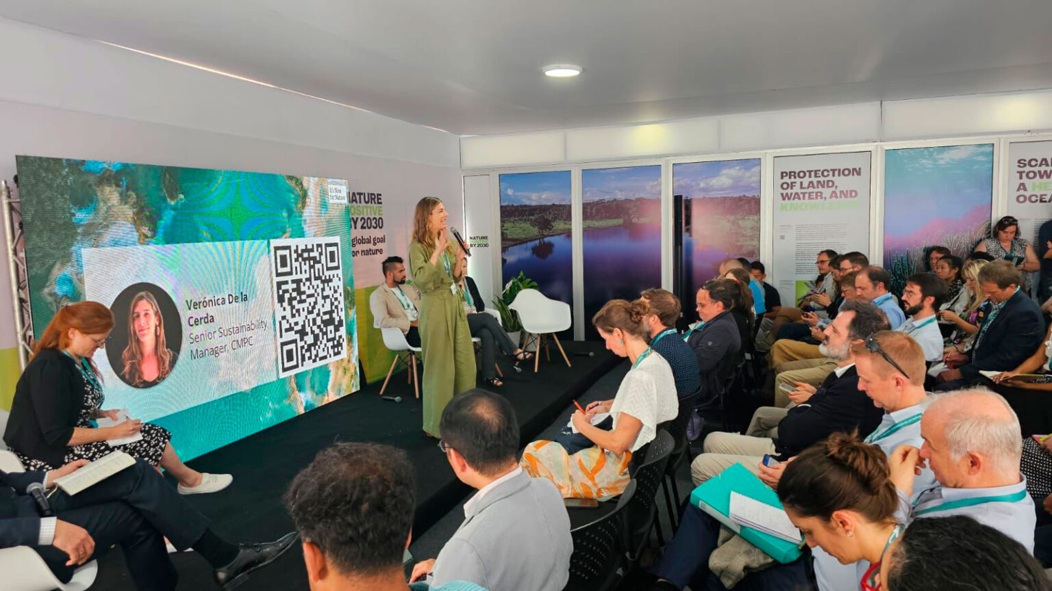 Patagonia Project: CMPC's unprecedented green initiative unveiled at ...